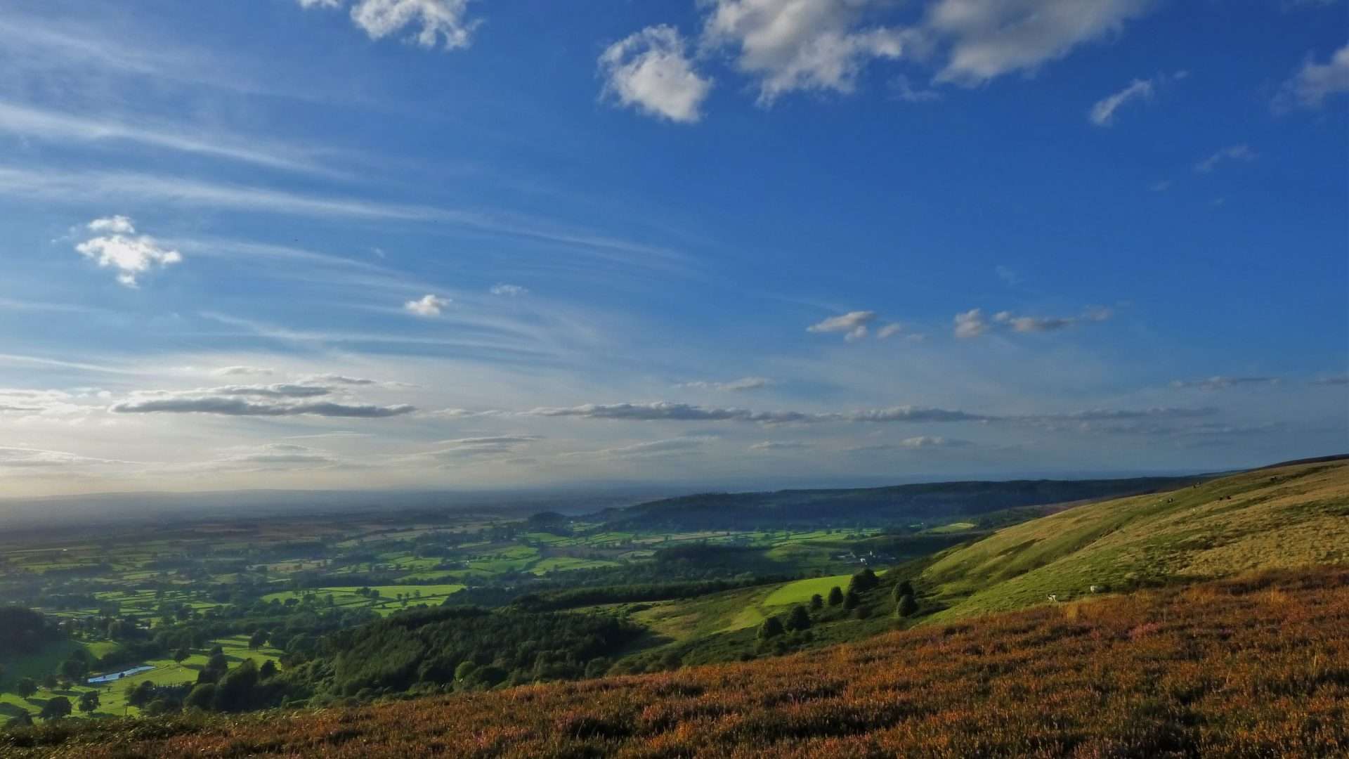 Adventuro & Rewilding Britain: Joining Forces to Protect our Wild ...