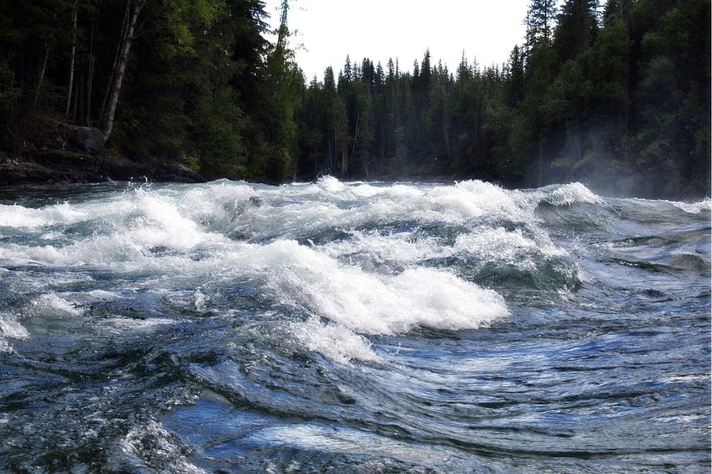 The Basics of Whitewater Kayaking: What You Need to Know - adventuro