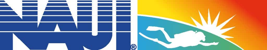 How Does PADI Stack up Against SSI and Others and Equivalent ...