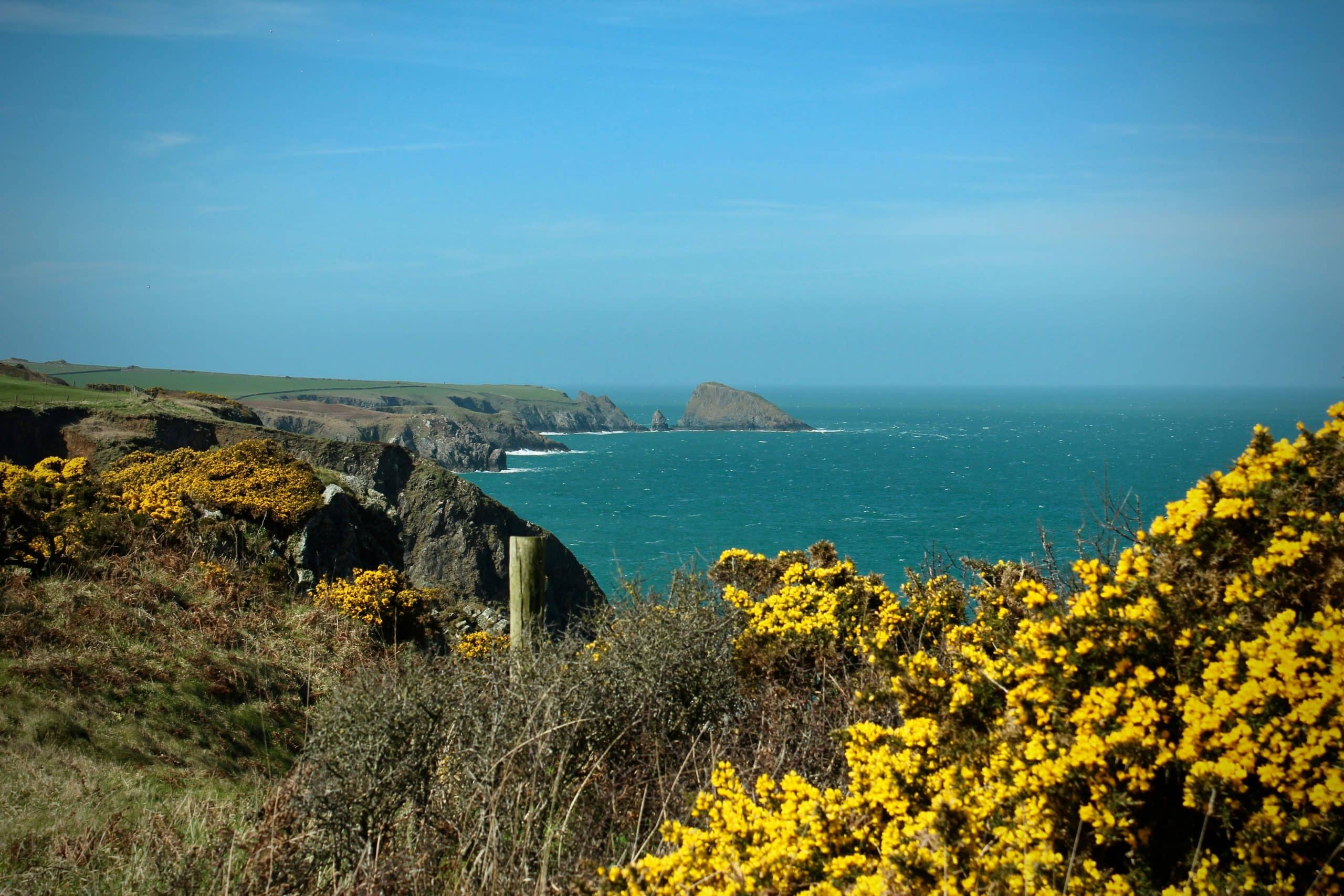 Kayaking in Pembrokeshire and South Wales: Cliffs, Harbours and SEALS ...