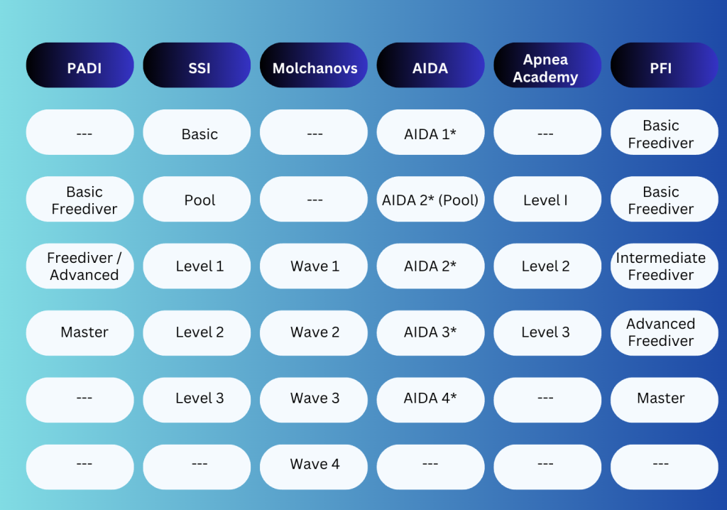 Freediving Certifications – A Complete Guide - adventuro