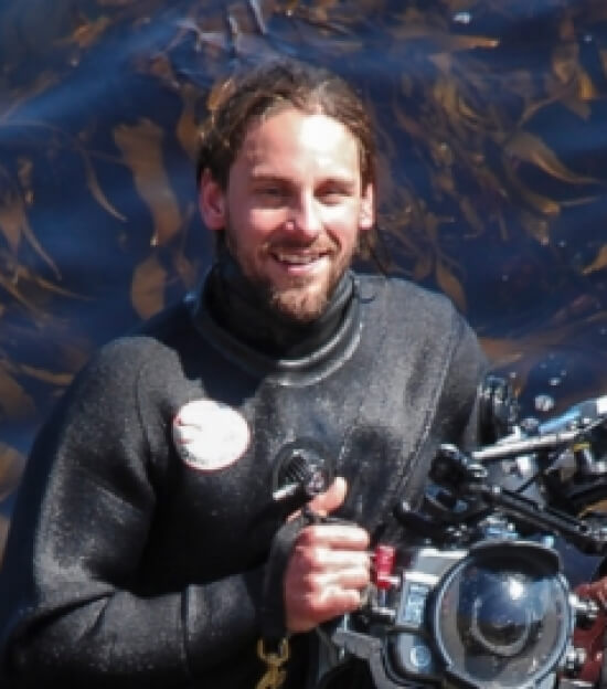 Basking Shark Scotland