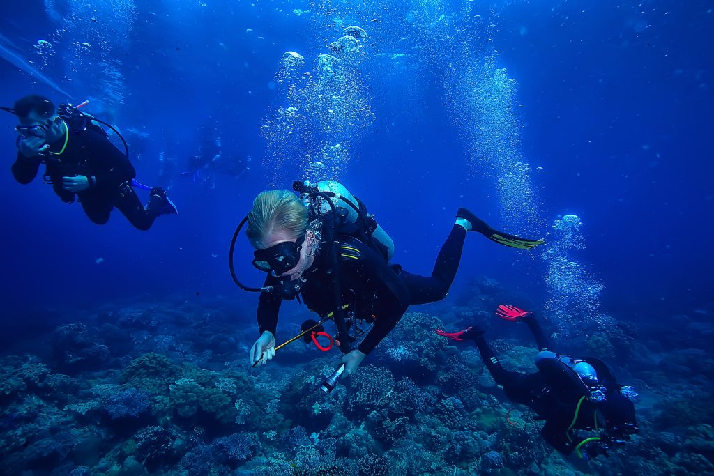 25+ Best Scuba Diving Apps for Diving Excellence - adventuro