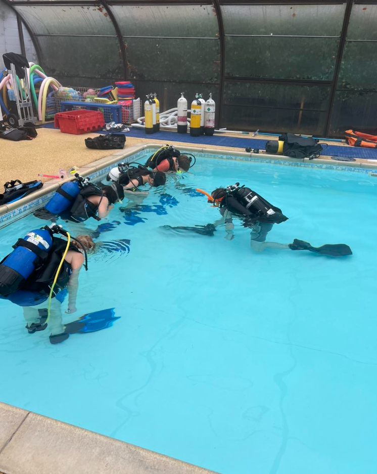 PADI Bubblemaker Course - adventuro