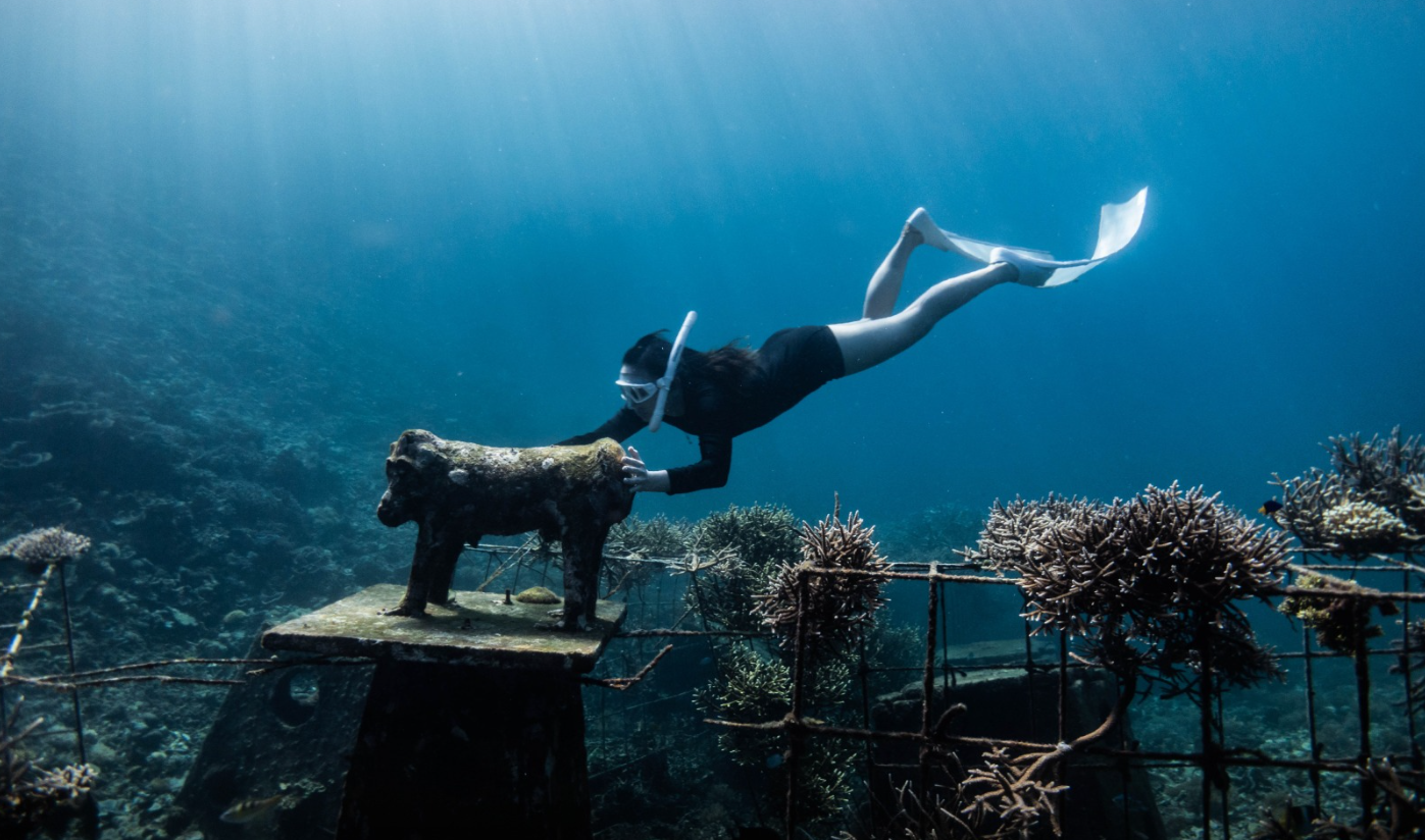 AIDA Level 4 Master Freediver Course in Sulawesi - adventuro