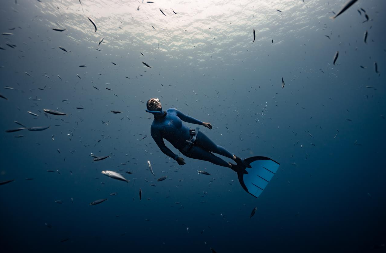 Freediving FREe-learning Online Courses - adventuro