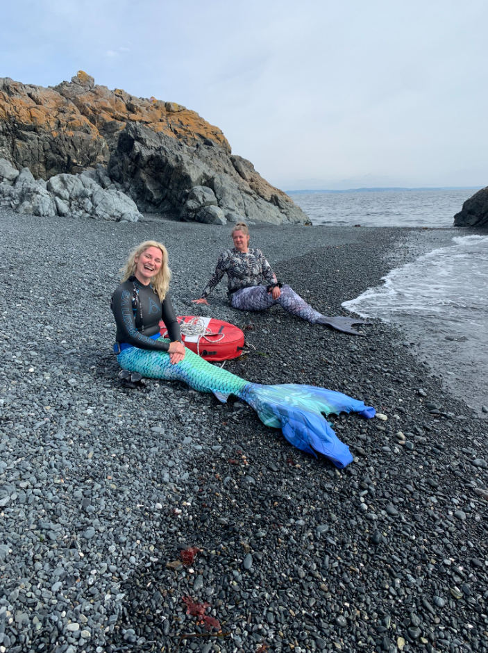 SSI Mermaid & Ocean Mermaid Combined Course at Porthkerris Cove - adventuro