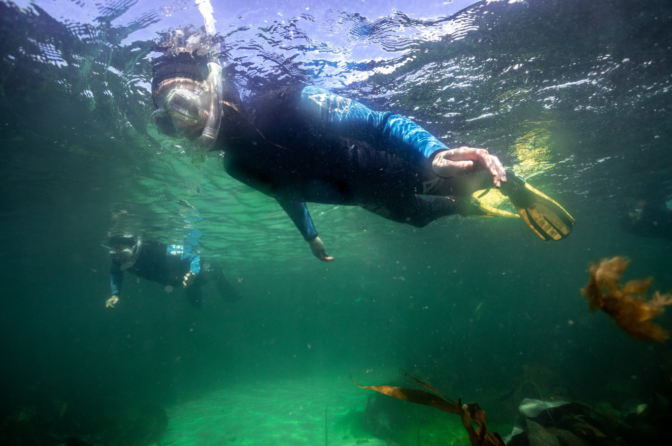 Private Snorkelling Session – Fort William, Scotland - adventuro