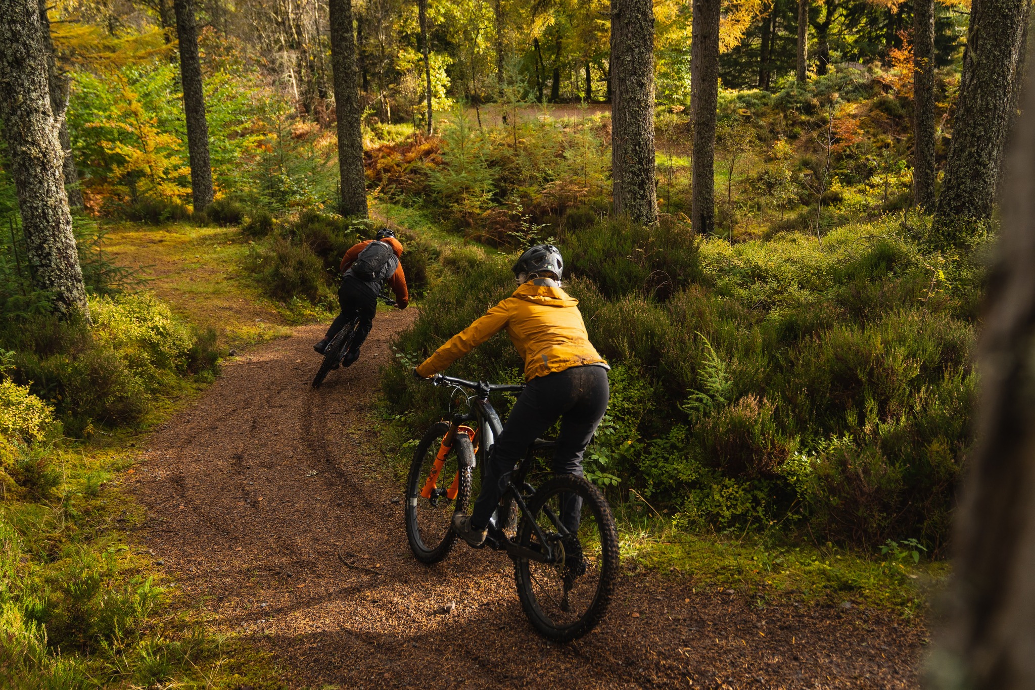 Beginner Mountain Bike Coaching – MTB Fundamentals - adventuro