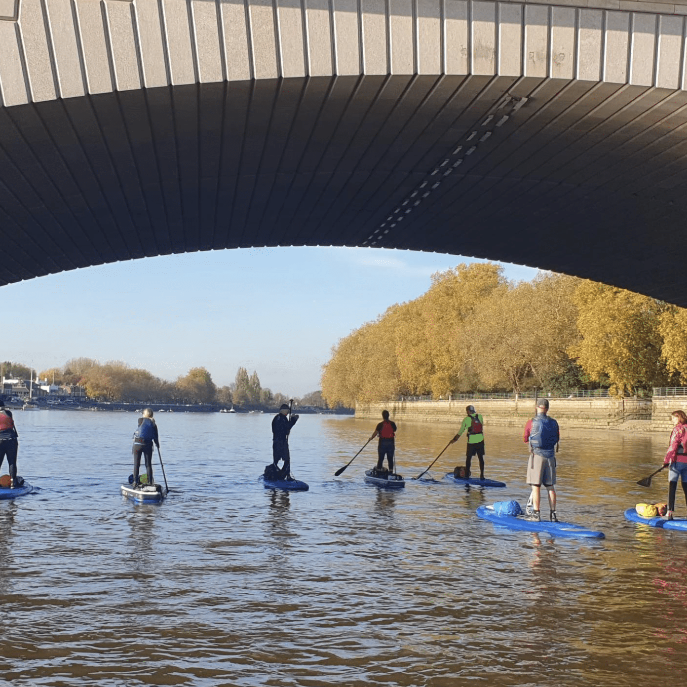 Thames Natural History Paddleboarding (SUP) Tour | adventuro