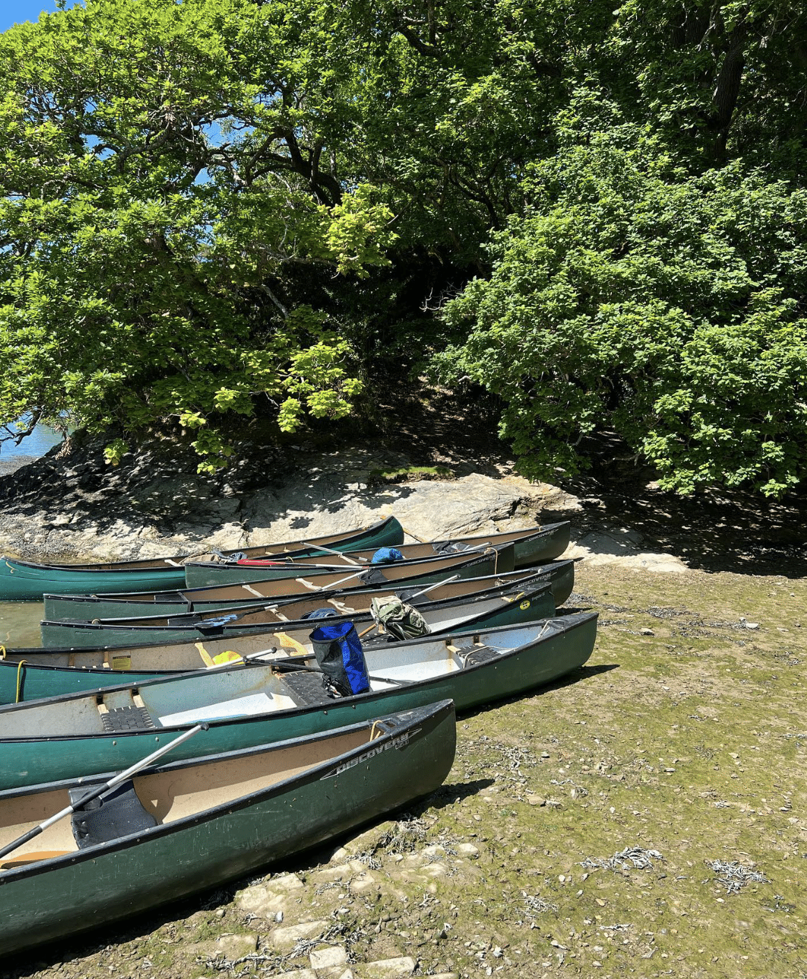 Guided Canoe Trip on the River Fal - adventuro