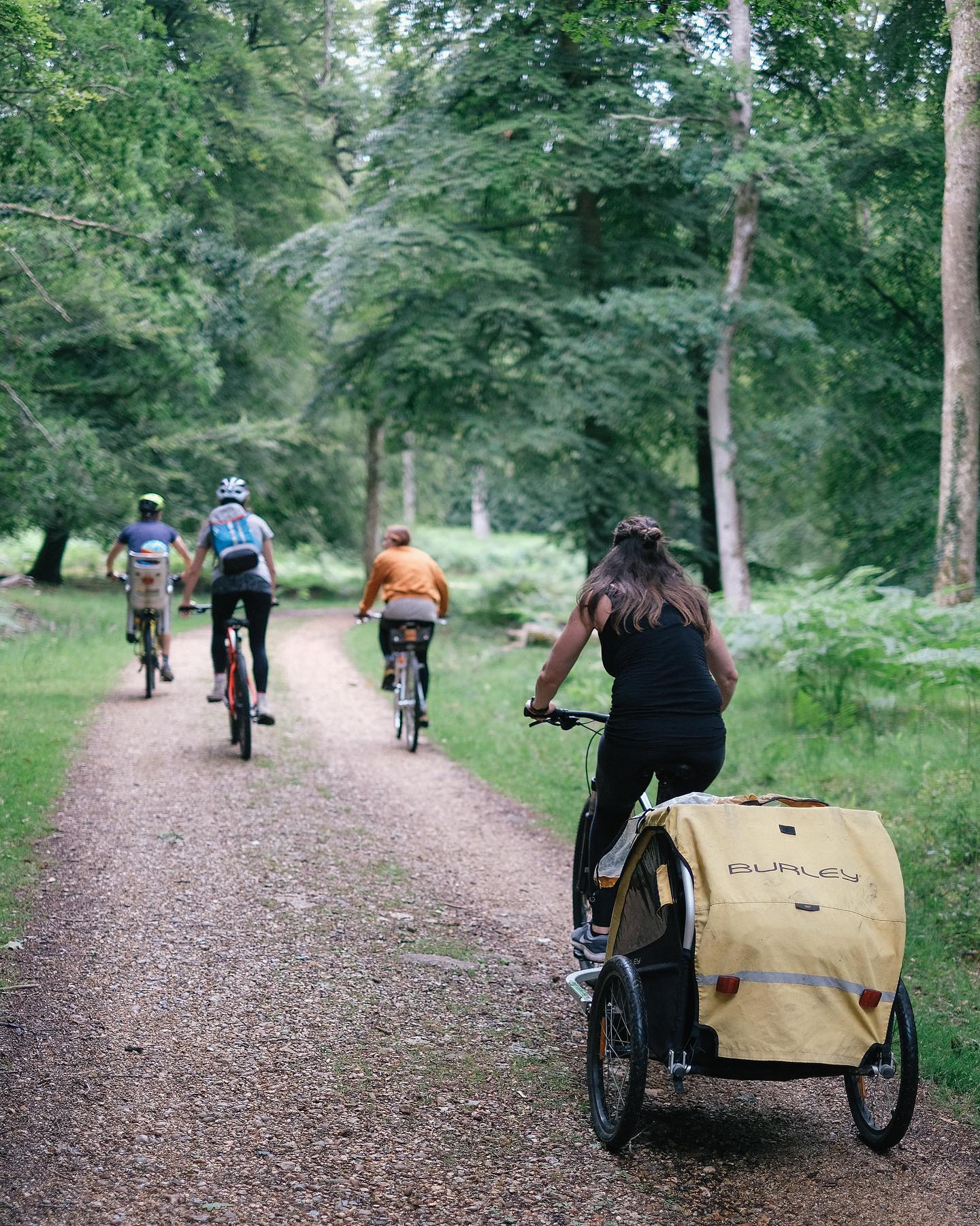 MTB, E-Bike & Gravel Bike Hire in the New Forest National Park - adventuro
