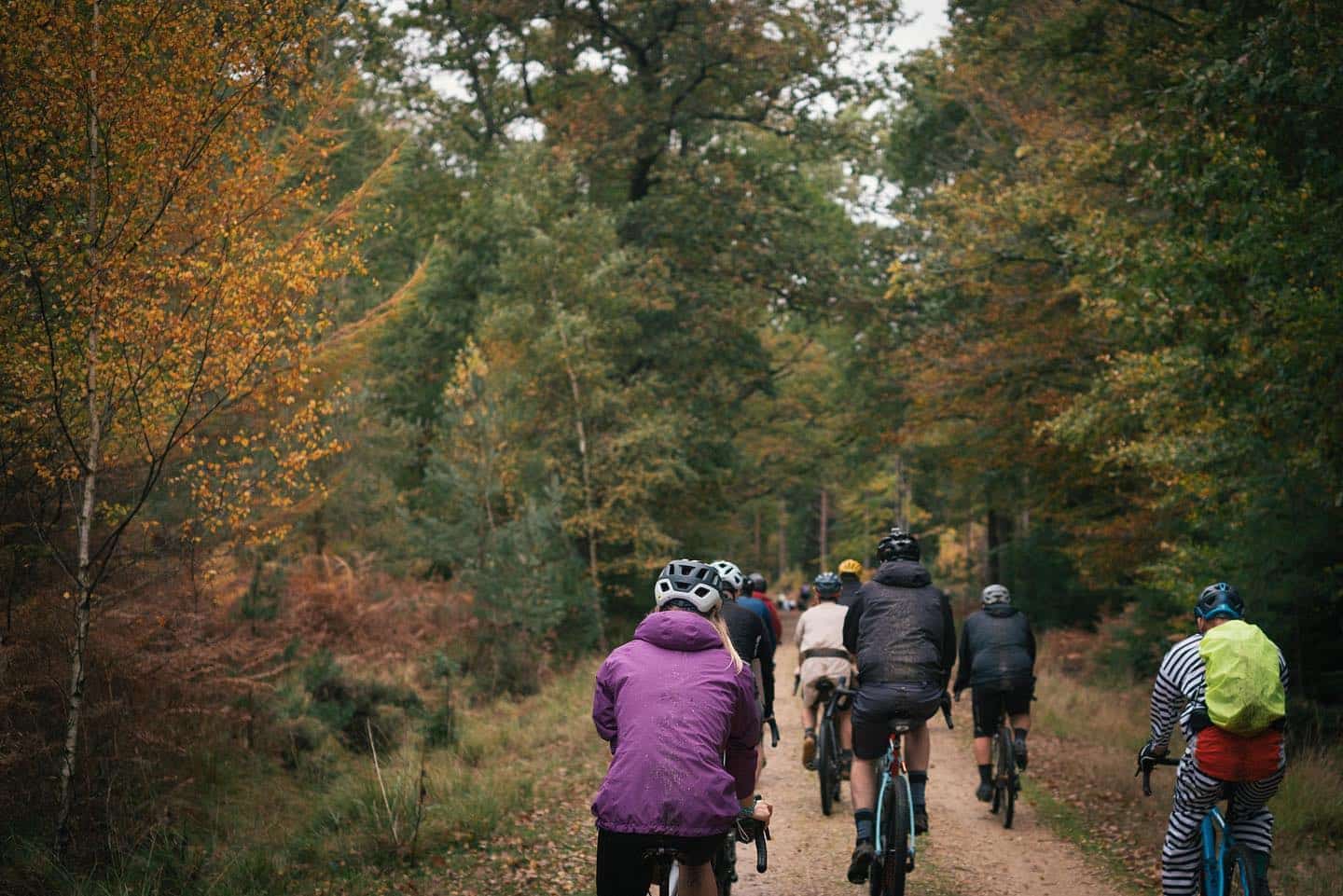 MTB, E-Bike & Gravel Bike Hire in the New Forest National Park - adventuro