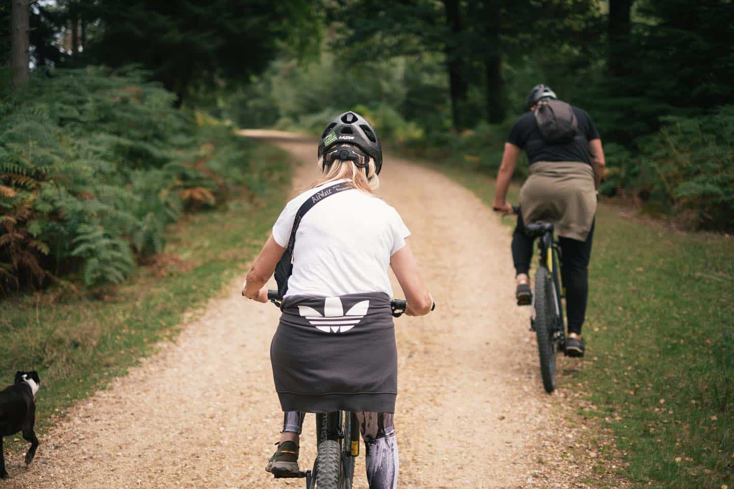 MTB, E-Bike & Gravel Bike Hire in the New Forest National Park - adventuro
